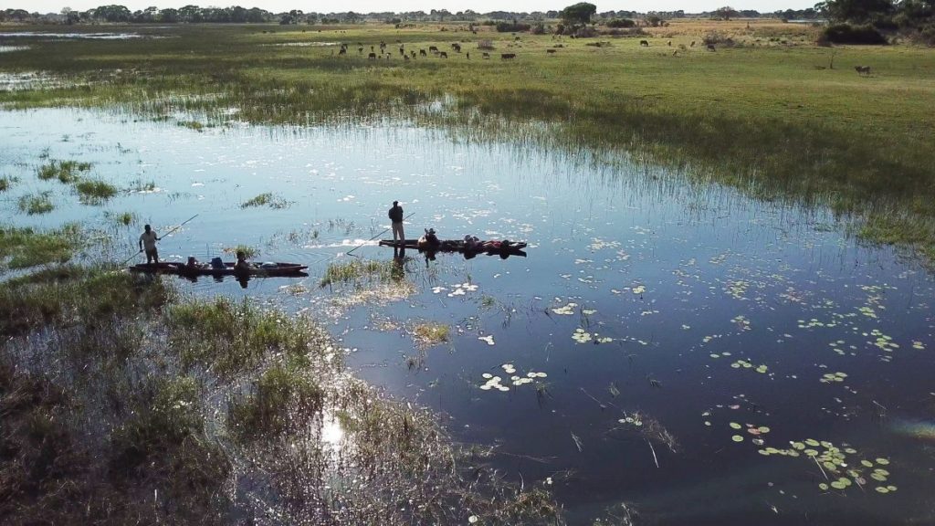 A Journey by Air, Water and Road in the Okavango Delta