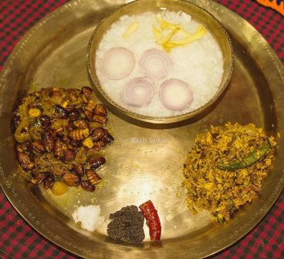 In India’s Northeast, a Rich Tradition of Insect Foods – The Wire Science