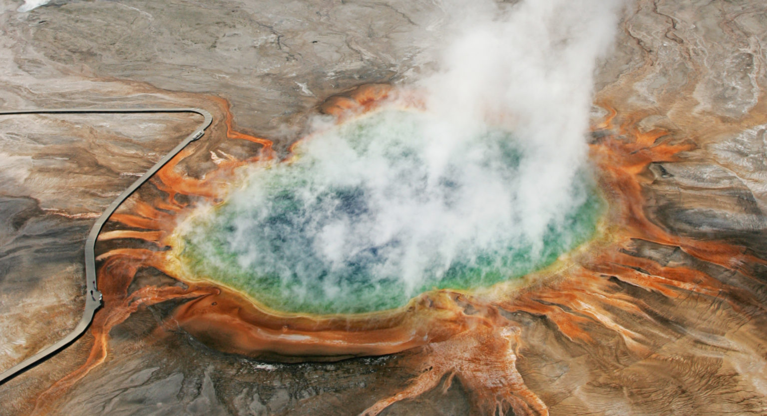 Where on Earth Did Life Originate? – The Wire Science
