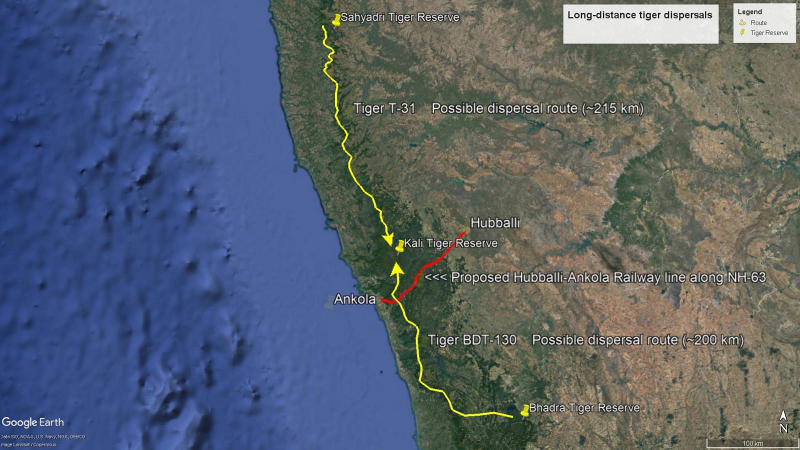 The Two Tigers That Make the Case for India to Protect Its Wildlife ...