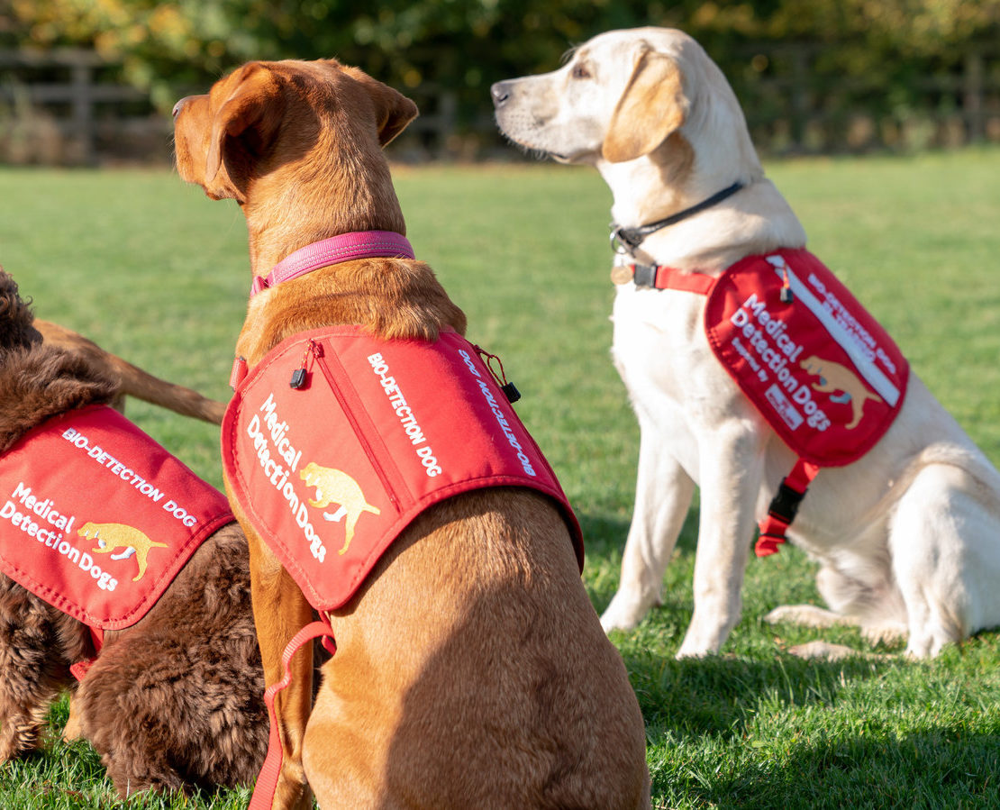 Susan Hazel and Anne-Lise Chaber – The Wire Science