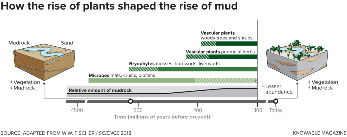 The Story of How Mud Changed Earth – The Wire Science