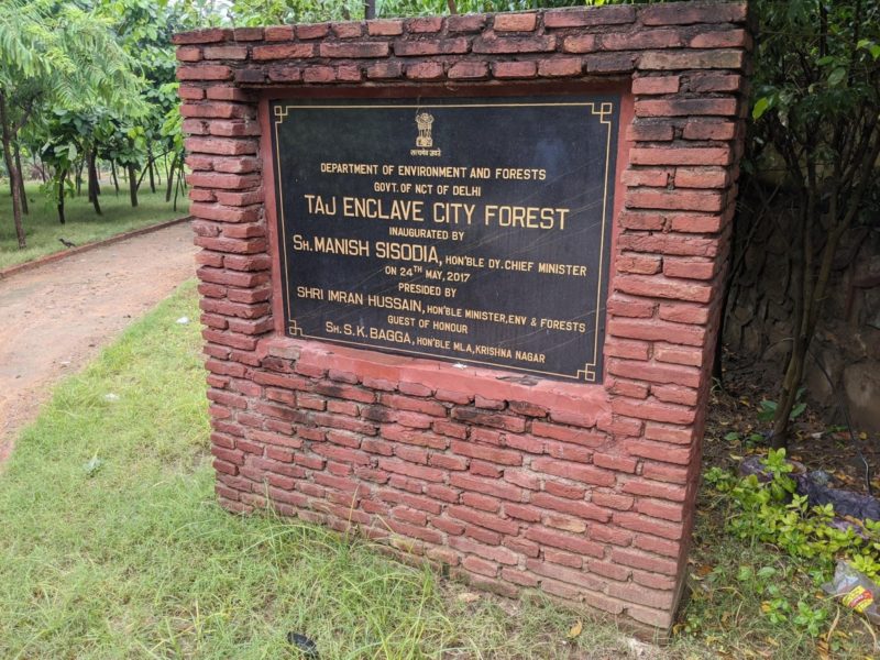 Dear Forest Department – Where Are the Native Species in Delhi’s Urban ...