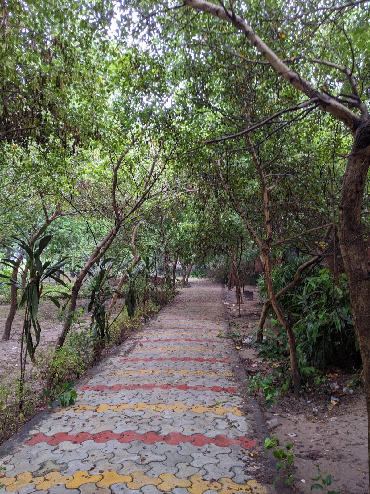 Dear Forest Department – Where Are the Native Species in Delhi’s Urban ...