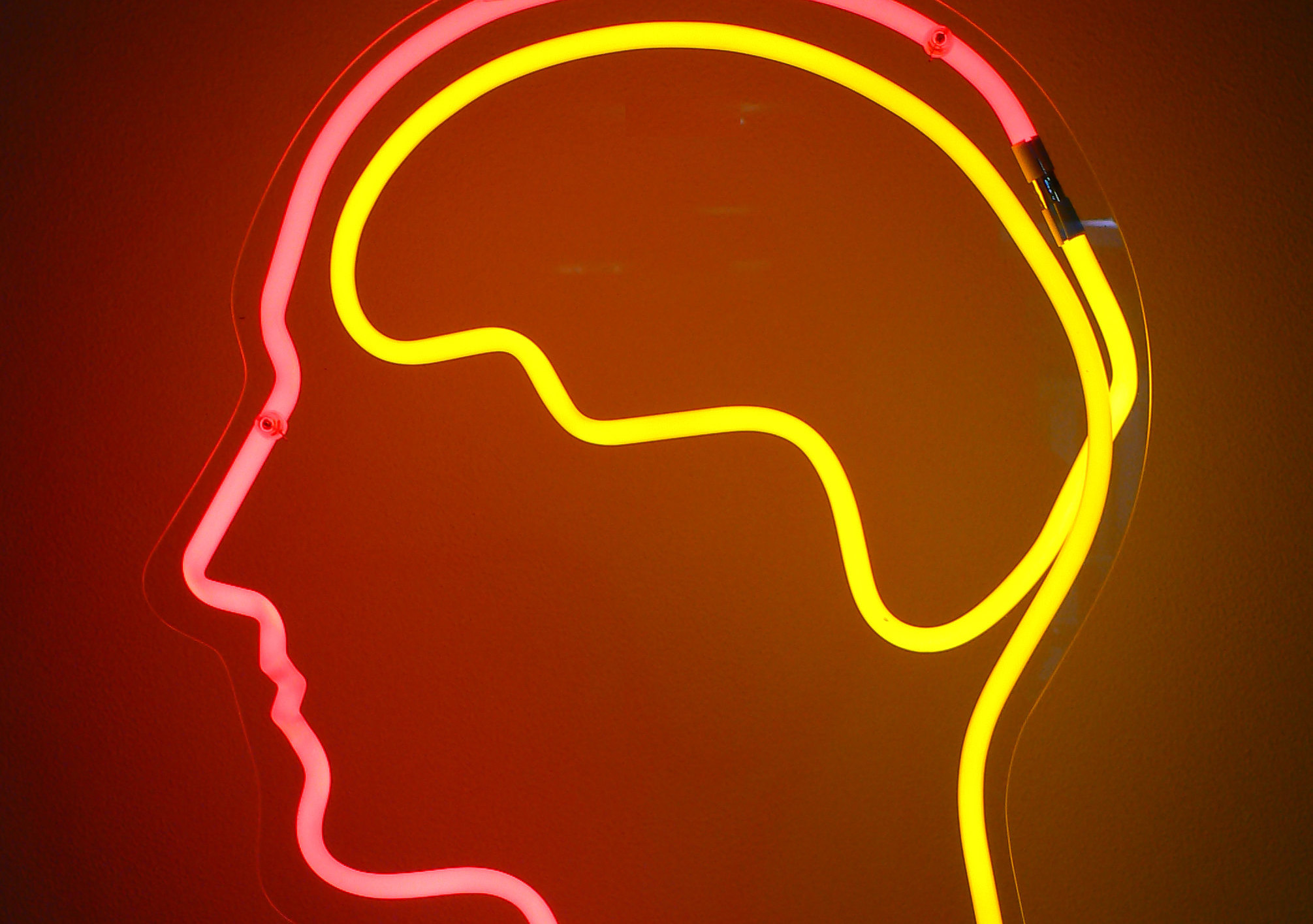 What Fossils and DNA Tell Us About the Evolution of Modern Intelligence ...