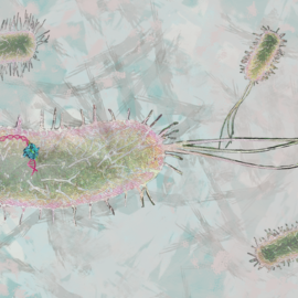 Emmanuelle Charpentier, Jennifer Doudna Win Chemistry Nobel for Genome ...