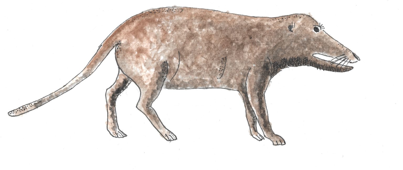How Palaeontologists Pieced Together the Strange Story of Whale ...