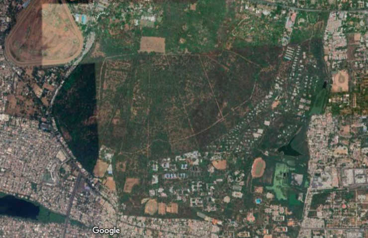 At IIT Madras, There Is a People-Dog-Wildlife Conflict – The Wire Science