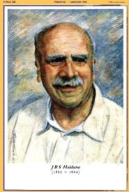 More Fun Than Fun: The Smart Animals That Helped Scientists Demystify ...