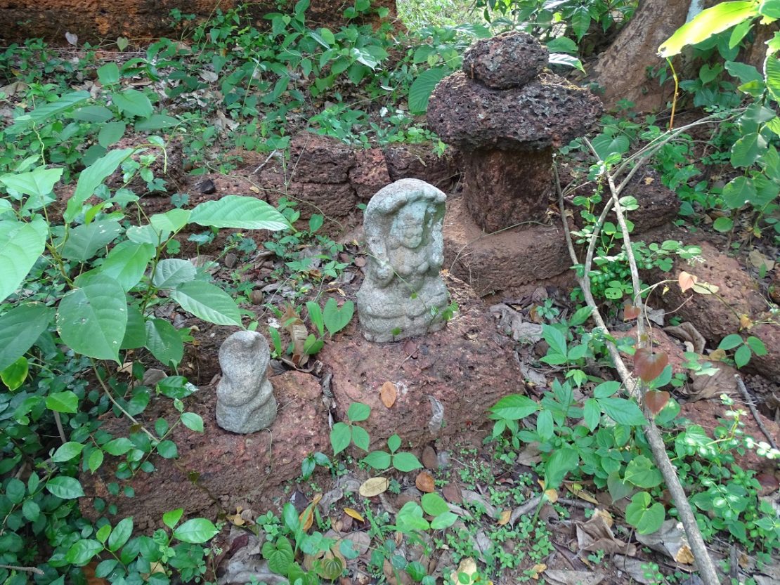 Cultural Beliefs Protect Snakes in Southwest India’s Sacred Groves ...