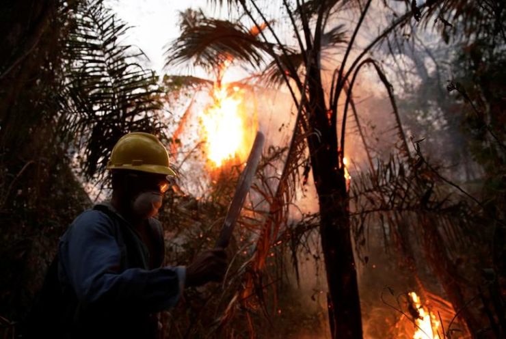 Bolivia Burns, Two Departments Declare ‘State of Disaster’ – The Wire ...