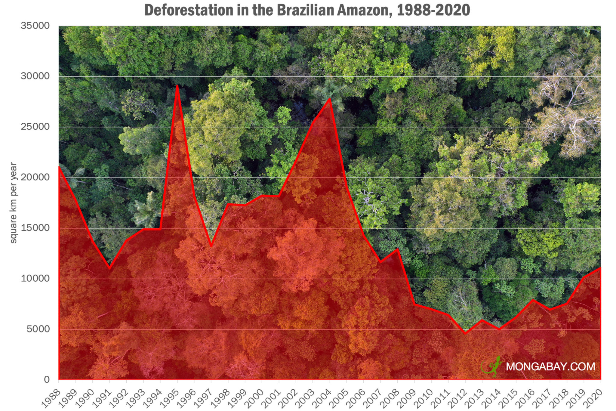 The Amazon Rainforest Has Lost the Most Trees in a Single Year Since ...