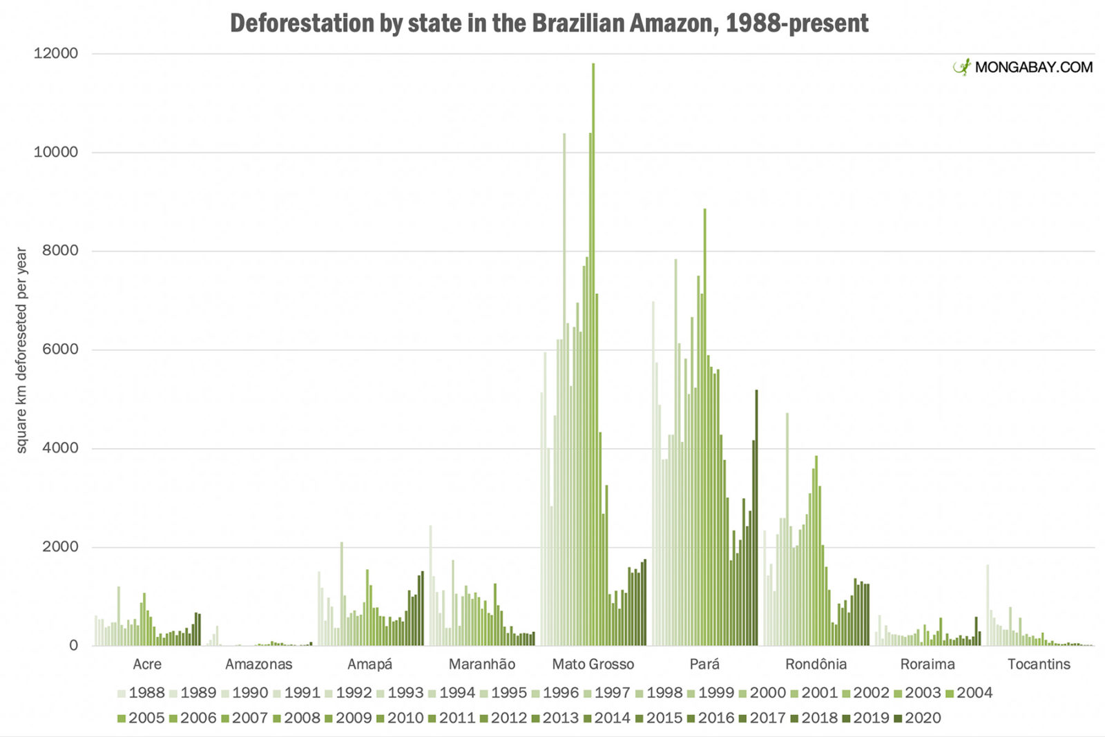 Rainforest/The Amazon Rainforest Has Lost the Most Trees in a Single ...