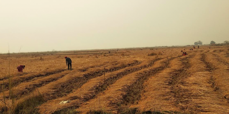 Nitish Cites Bihar Example as Guarantee of Farm Laws' Success; State ...