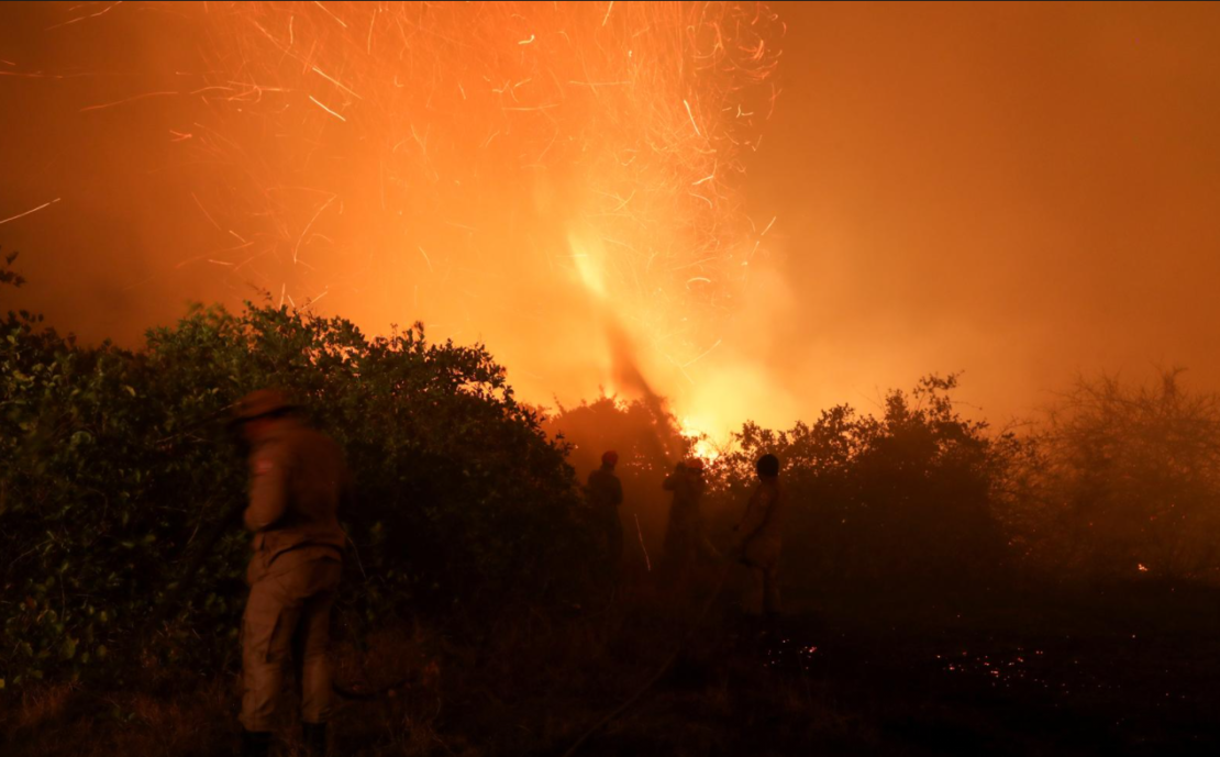 The Pantanal Wetlands Are Burning – Again – The Wire Science