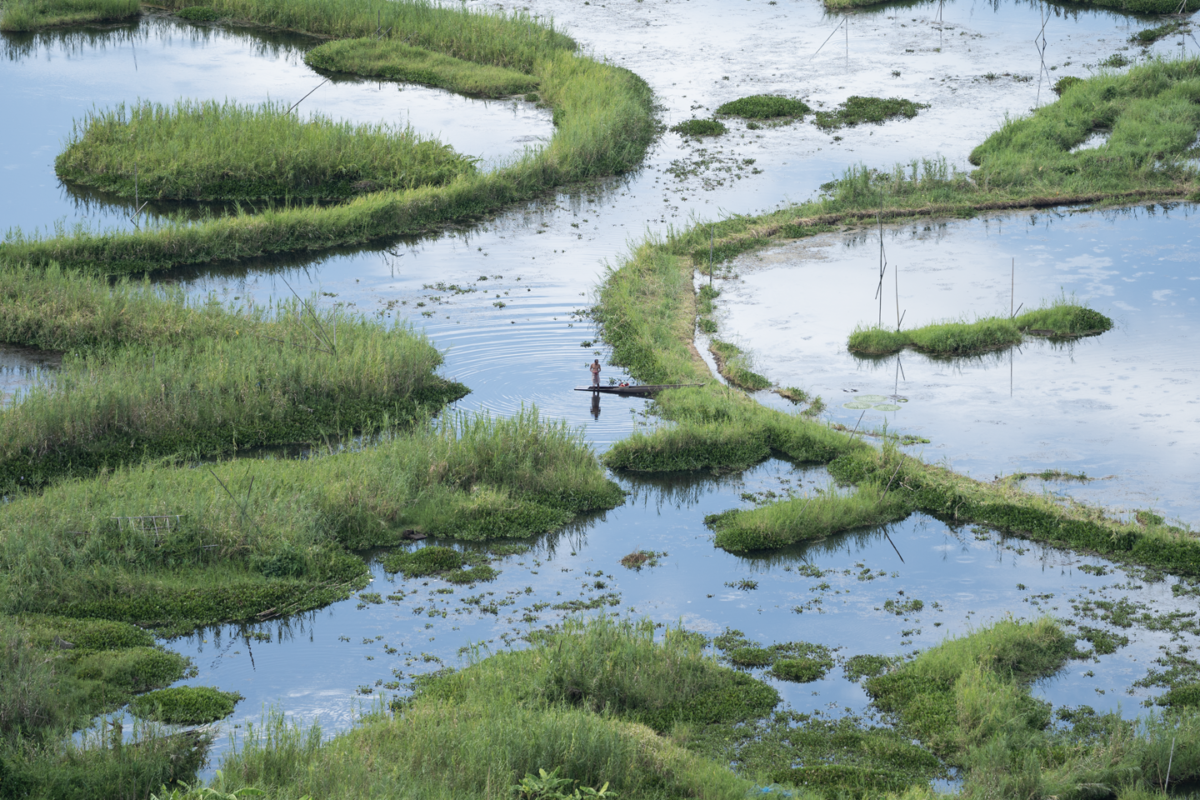Explained What Are Wetlands And Why Are They Important The Wire Science
