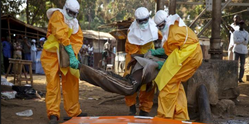 'Ecological Fragility' Will Increase Frequency of Animal-to-Human ...