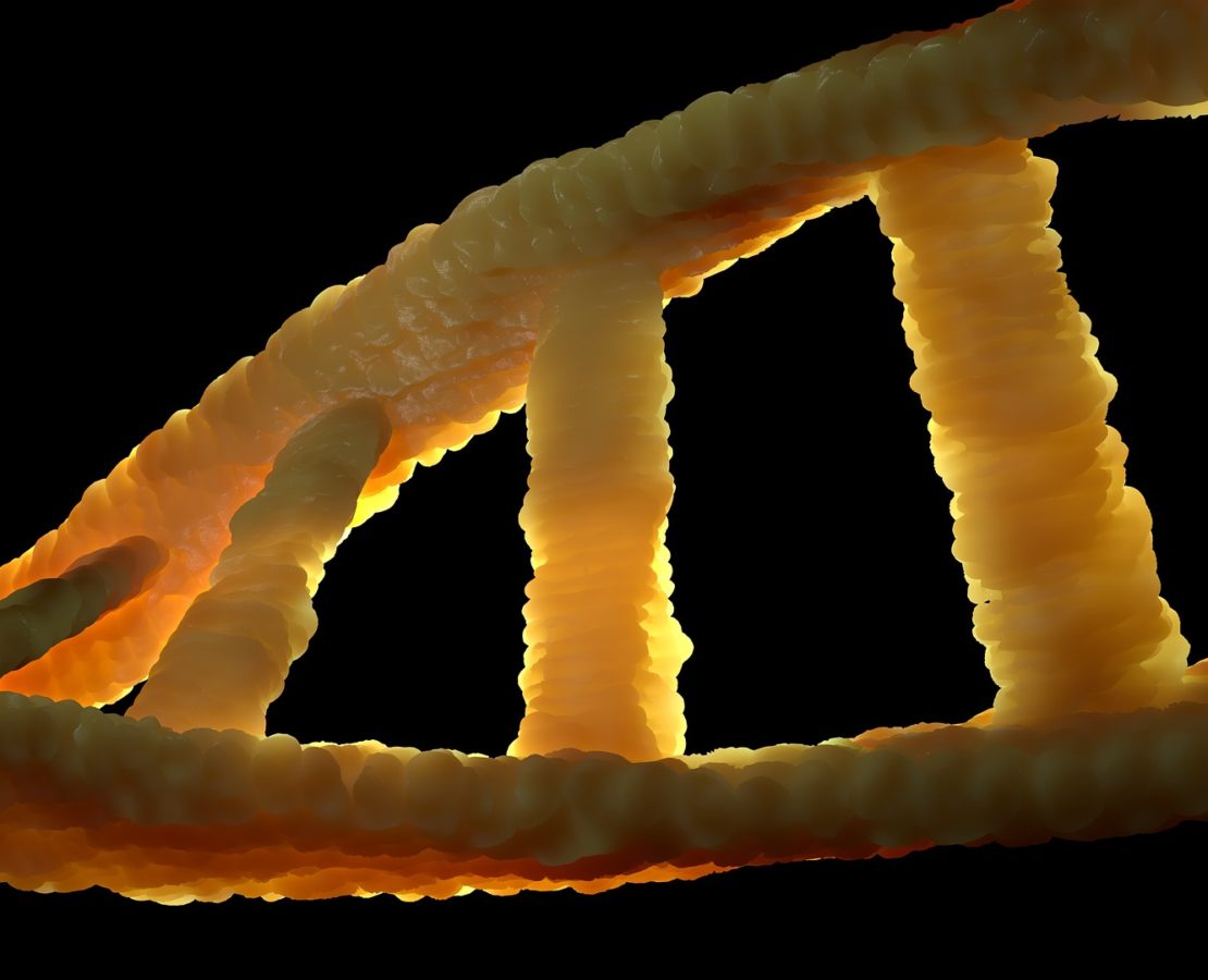 Priyanka Pulla – The Wire Science