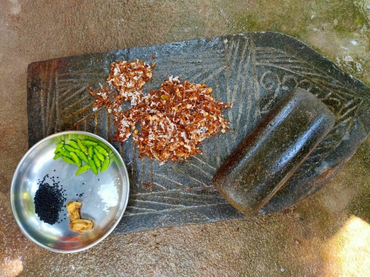 University Seeks Geo-Indication Tag for Mayurbhanj’s Red Weaver Ant ...