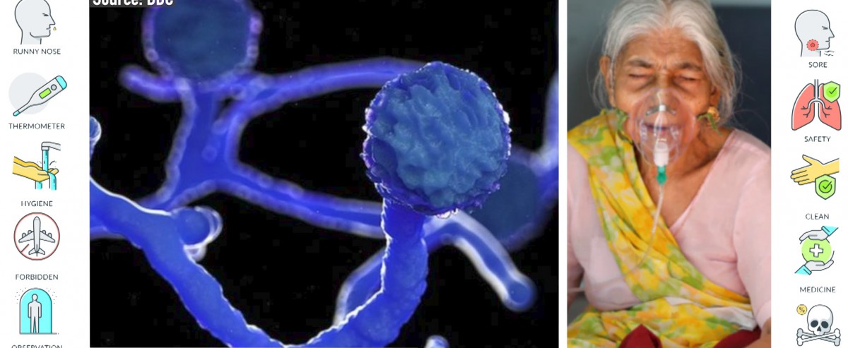 The Wire: The Wire News India, Latest News,News from India, Politics ...