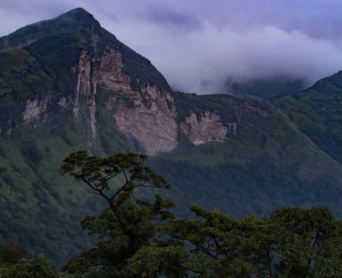 Bidyut Sarania, Krishnapriya Tamma, Samira Agnihotri, Subhashini ...