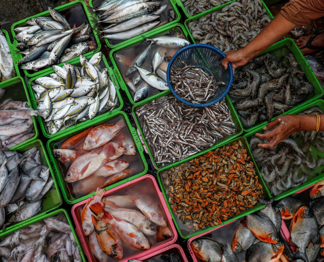 Emma Farge – The Wire Science