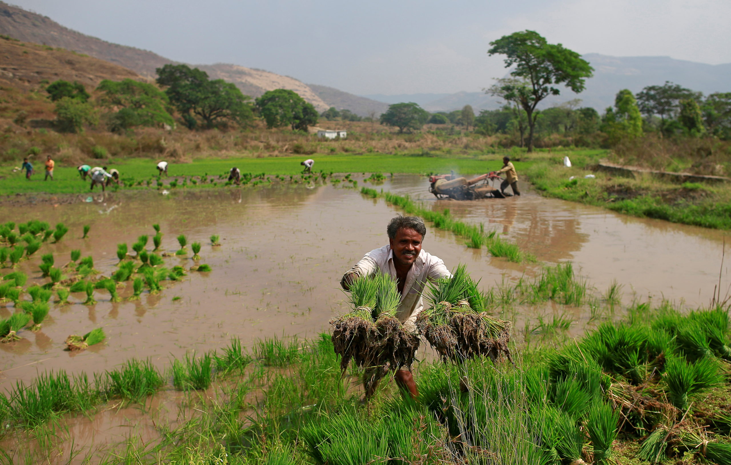Rainfall In July 26 Percent Deficient So Far IMD The Wire Science Rainfall In July 26 Percent Deficient So Far IMD The Wire Science
