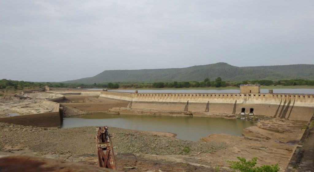Ken-Betwa Link: Not Enough Land to Compensate for 23 Lakh Trees Cut ...