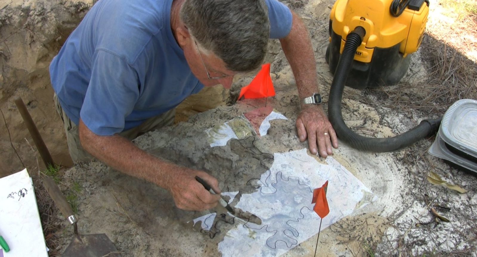 More Fun Than Fun: The Underground Architects and Engineers of the Ant ...