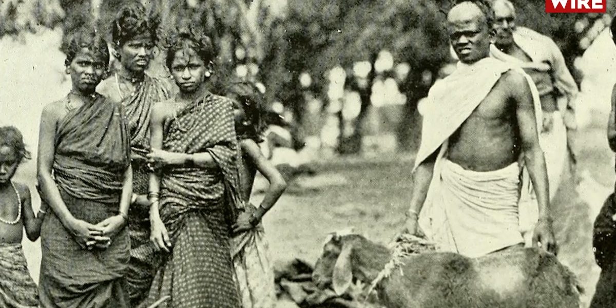 How the MP Excise Act Is Used to Target Vimukta Communities - The Wire