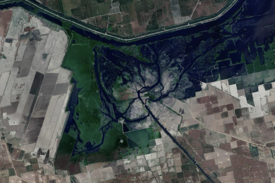 Najafgarh Jheel Has More To Offer Delhi and Haryana, if They Will Allow ...