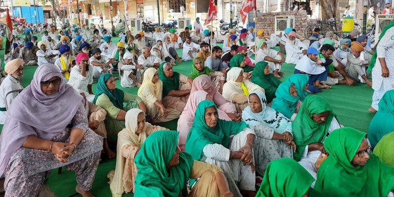 The Tragedy and Tenacity of the Farmers at Tikri Border