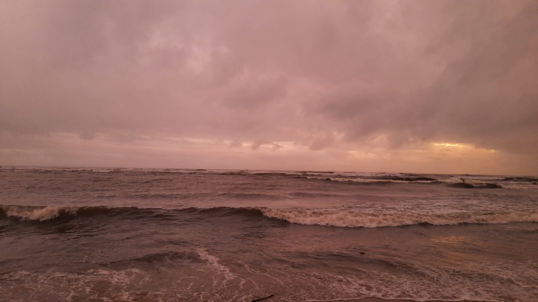 Red Alert! An Update – The Wire Science