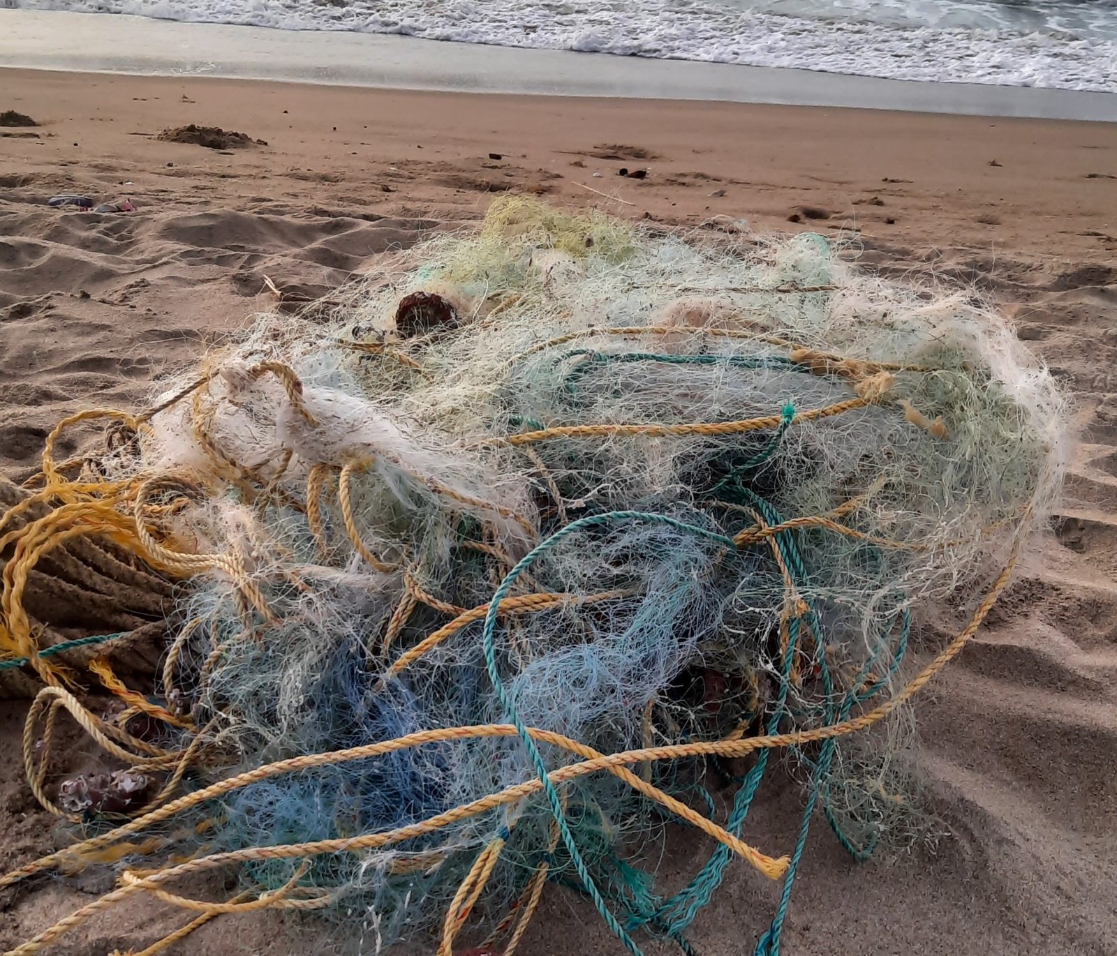 Ghost Nets: Common Sense v. Sense of the Commons – The Wire Science