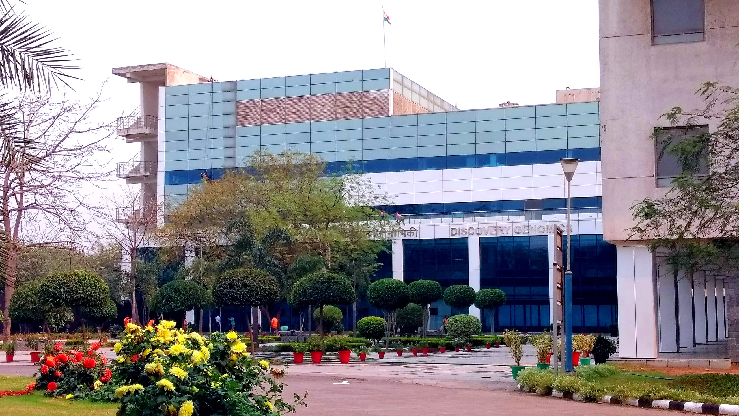 Found: As Second Wave Faded, so Did India’s Genome-Sequencing Effort ...