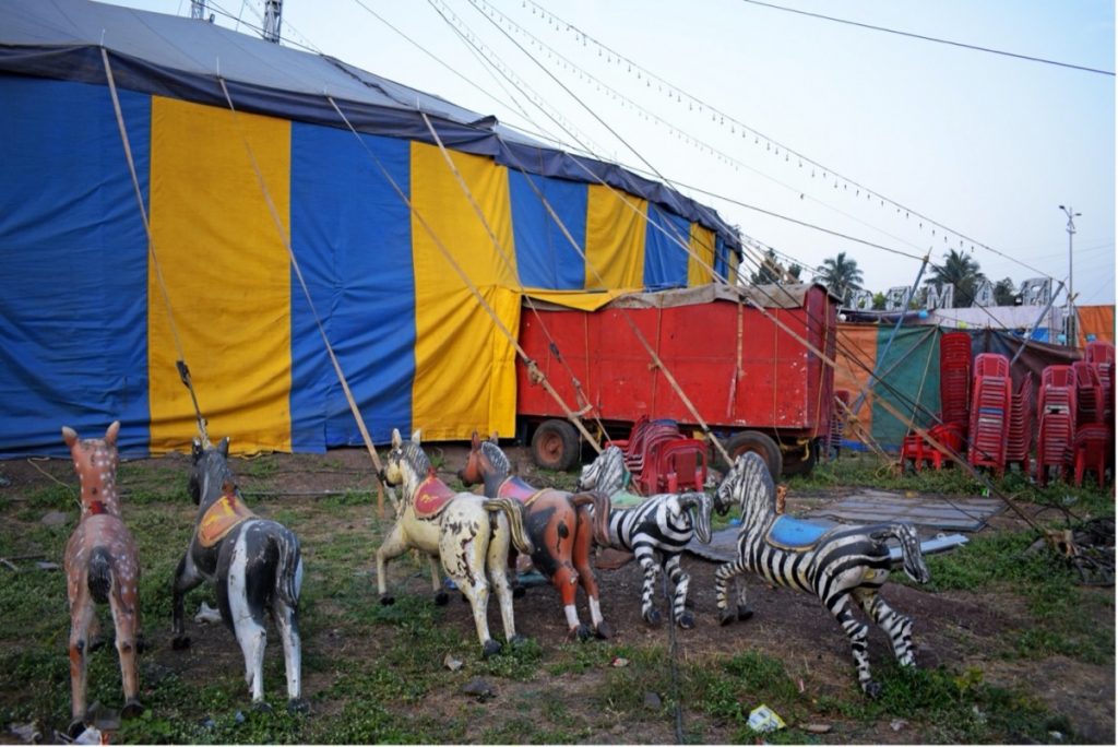 In Photos: The Endangered Performance Art of the Circus