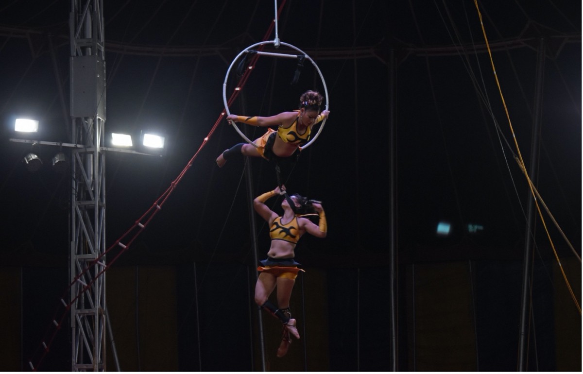 In Photos: The Endangered Performance Art of the Circus