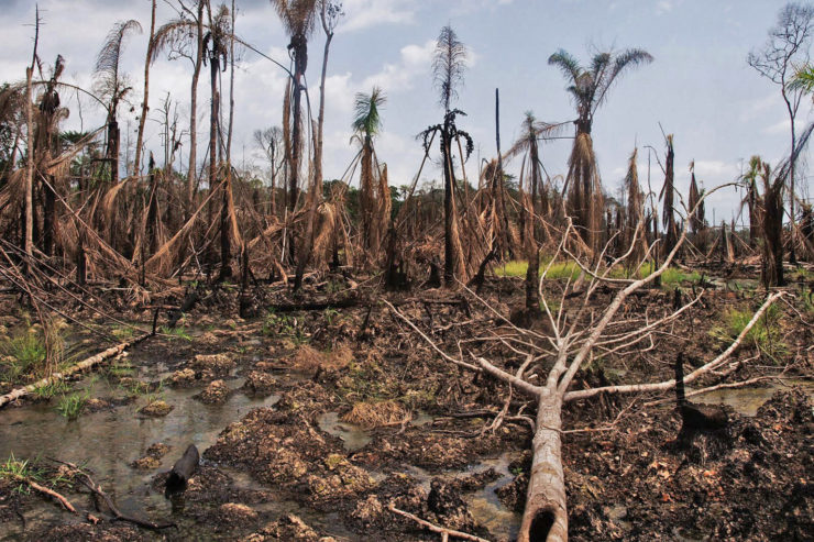 An Ongoing Oil Spill Recalls How Common Pollution Is in the Niger Delta ...