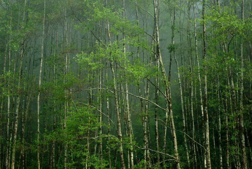 The Wire: The Wire News India, Latest News,News from India, Politics ...