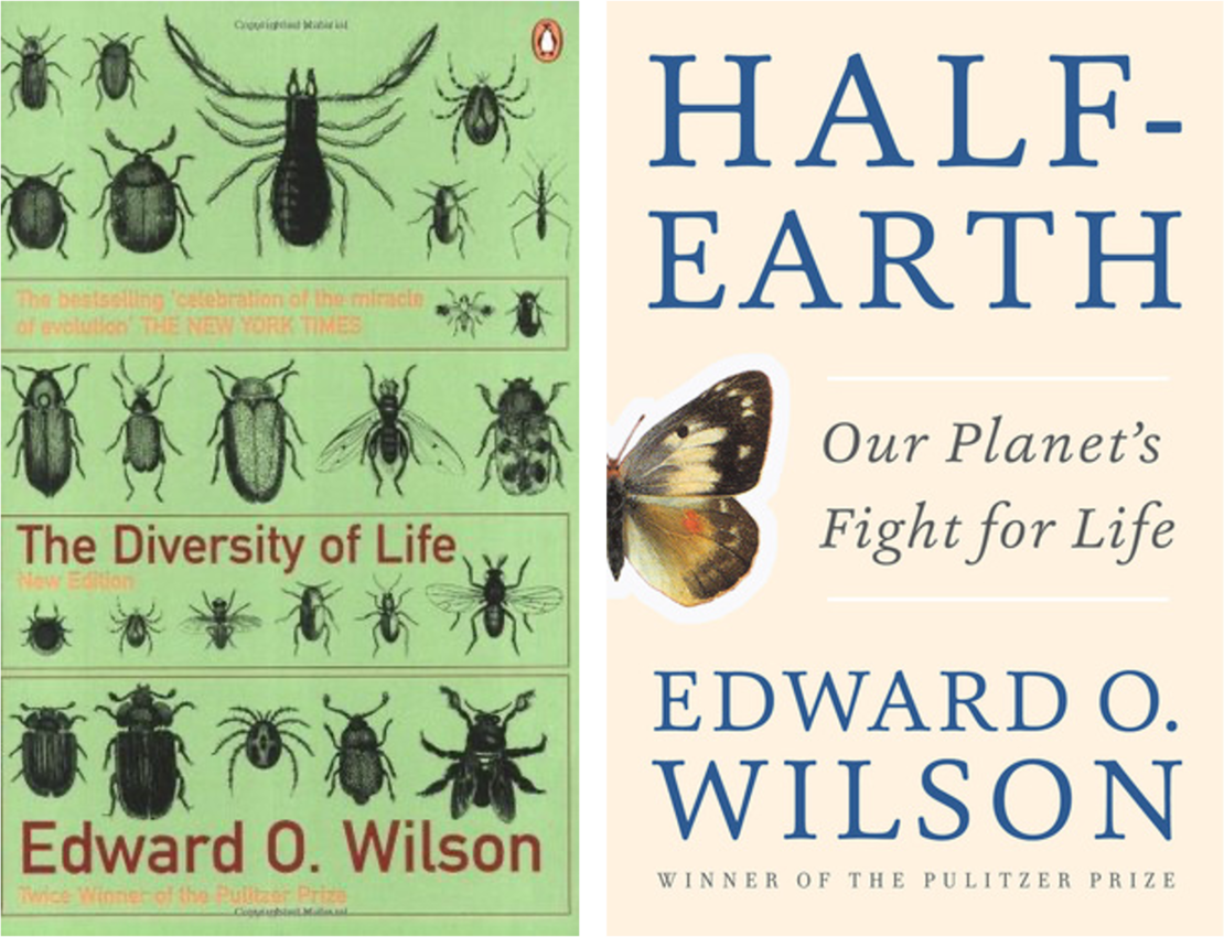 More Fun Than Fun: E.O. Wilson’s Love of Ants – and All Things Living ...