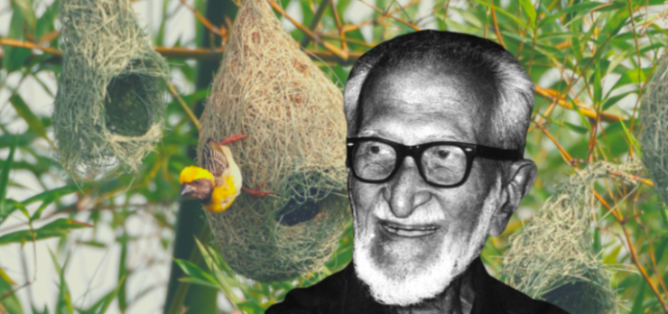 Salim Ali on Birds: The Words of a Legend Find New Life in Tara Gandhi ...