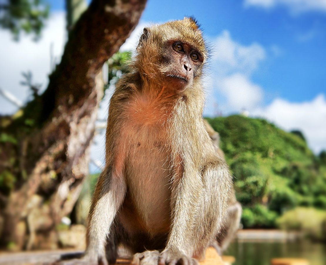 Vincent Florens – The Wire Science