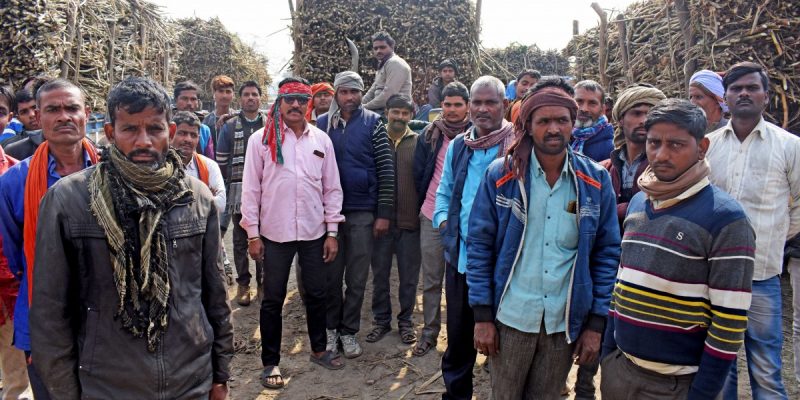 Farmers’ Organisation Floats New Front For MSP Law