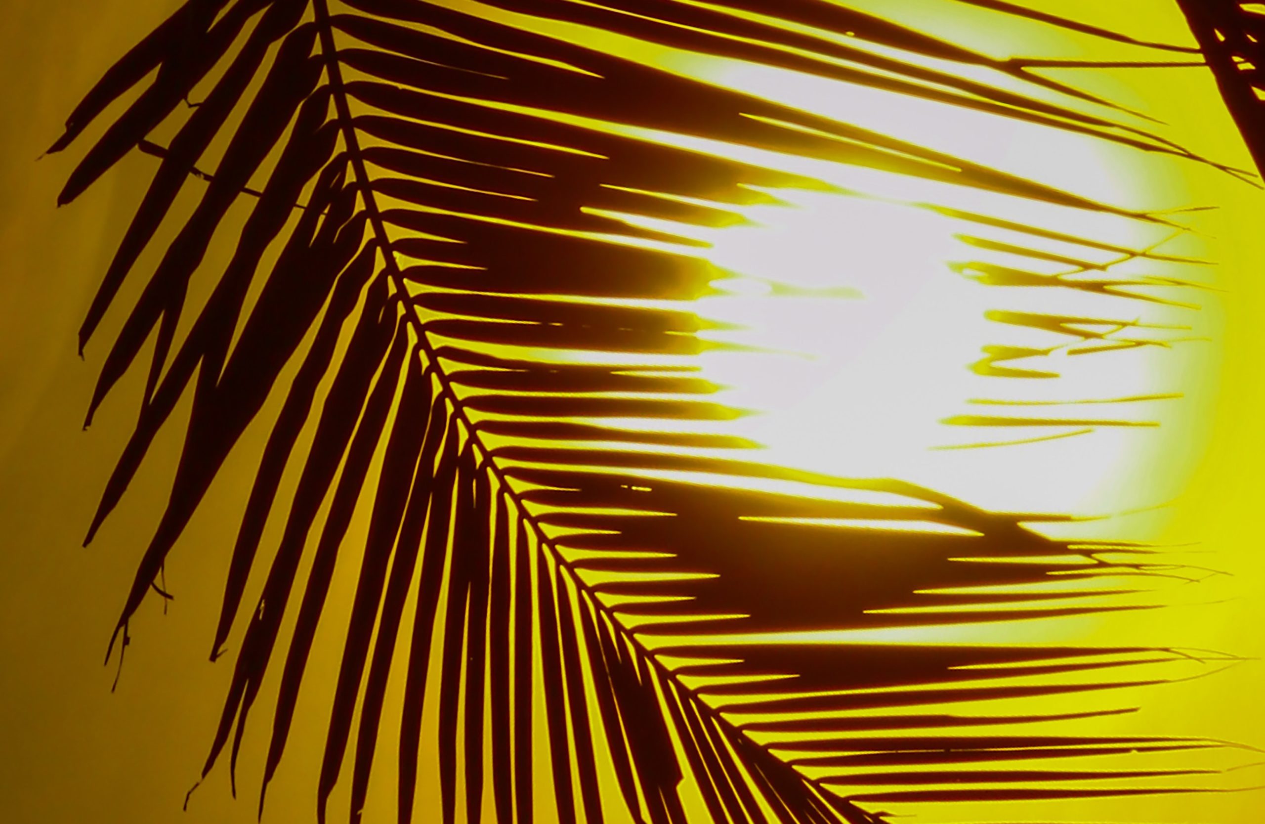 Heat Waves Sweep Across India – The Wire Science