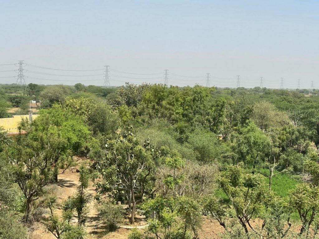 The Wire: The Wire News India, Latest News,News from India, Politics ...