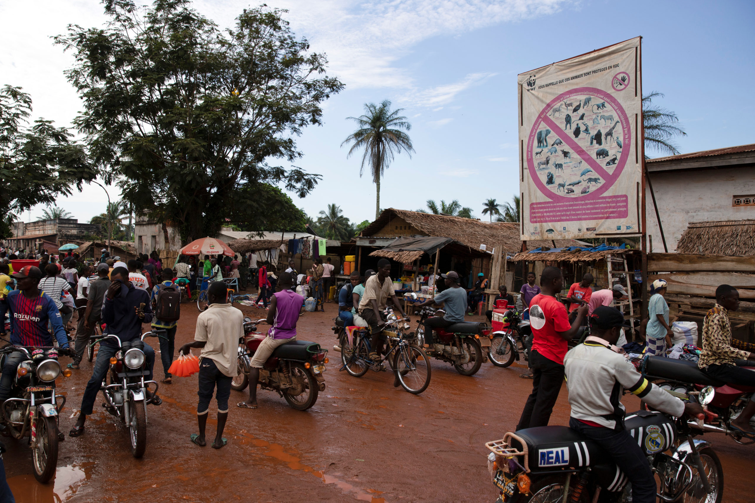Democratic Republic of Congo Declares Ebola Outbreak, Confirms One Case ...