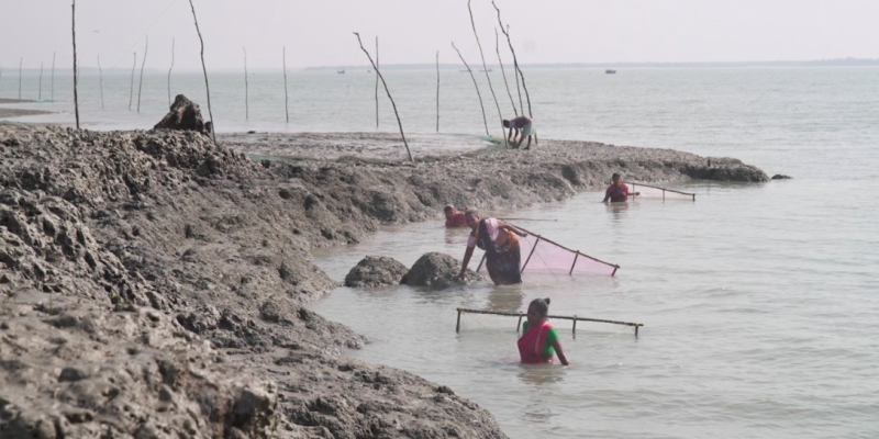 Heat, Erosion, Climate Action Failure: Figures Tell Worrying Tales of ...