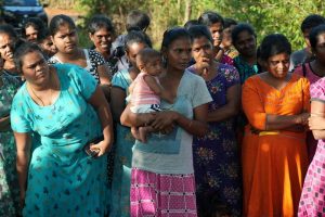 The Wire: The Wire News India, Latest News,News from India, Politics ...