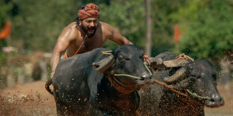 Review: 'Kantara' Is Doused in Local Flavour and Tension But Is Lopsided Review: 'Kantara' Is Doused in Local Flavour and Tension But Is Lopsided