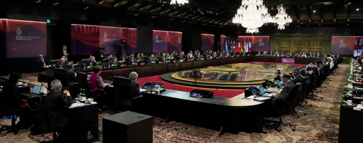 Division at G20 Over Bid to Condemn Russia’s Ukraine Invasion - The Wire